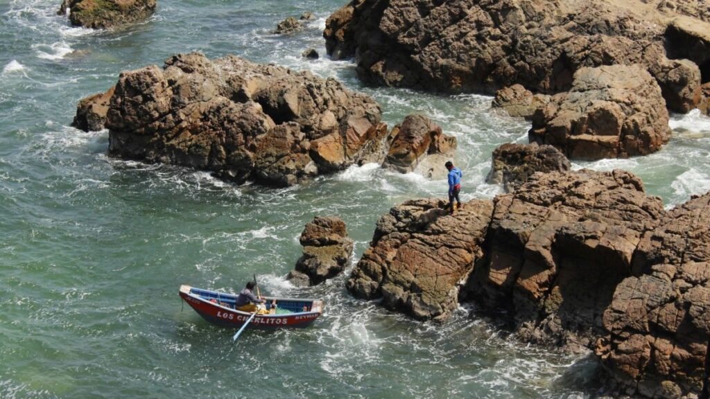 Aprueban Plan Maestro de la Reserva Nacional de Paracas para periodo ...
